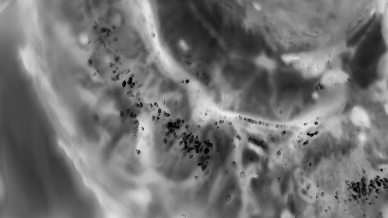 ‘Terminator’ protein halts cancer-causing cellular processes | Cornell ...