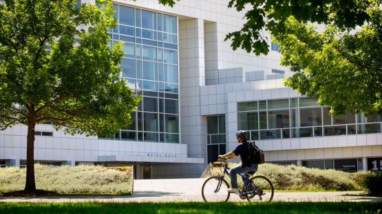 Home | Cornell Chronicle