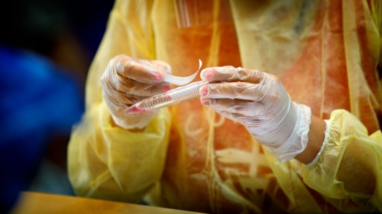 Research: Vaccines, masks, testing to minimize risk on campus | Cornell ...