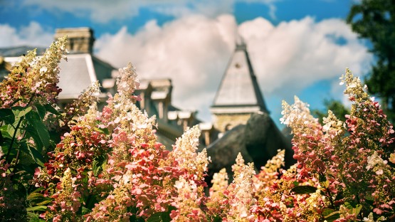 Orientation events pivot to virtual offerings for 2020 | Cornell Chronicle
