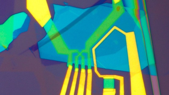 Graphene sensors find subtleties in magnetic fields | Cornell Chronicle