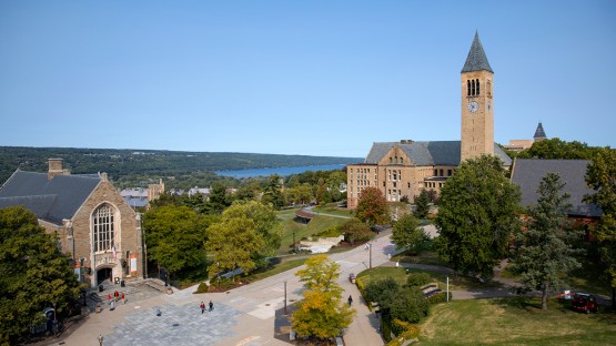 Cornell Leadership Sessions: back to green, cautiously | Cornell Chronicle
