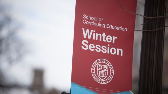 Cornell’s Adult University to offer winter ‘education vacations ...