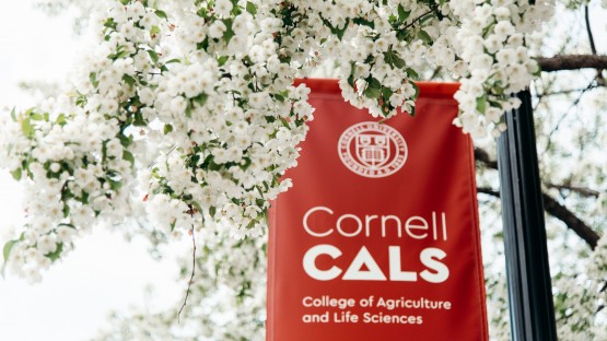 CALS welcomes six new faculty | Cornell Chronicle