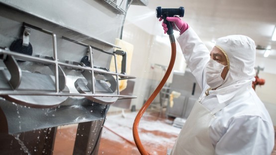 Swiping, swabbing elevates processing plant food safety | Cornell Chronicle