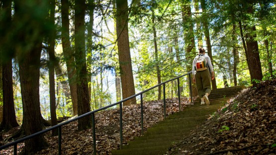 Cornell highlights gorge safety and trail closures | Cornell Chronicle