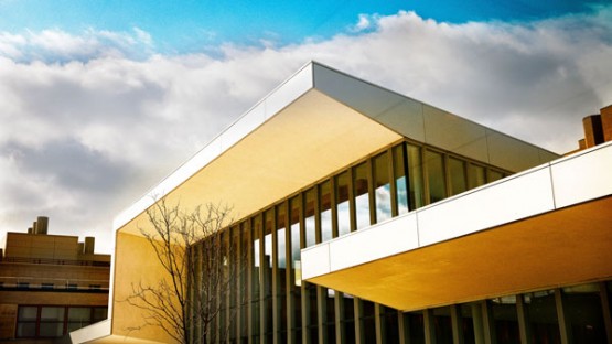 Award commends typhoid toxin and potential peptide therapy research ...