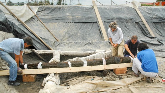 Researchers link ancient wooden structure to water ritual | Cornell ...