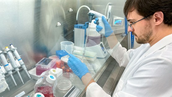 Mann award winner unveils evolution, rules of gene expression | Cornell ...