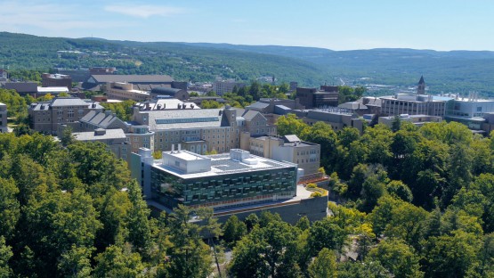 Research partnership supports NYS families fighting opioids | Cornell ...