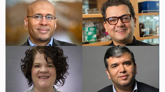Four Faculty Awarded with Endowed Professorships | Cornell Chronicle