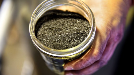 To sustainably harness cow manure’s usefulness, fire it up | Cornell ...