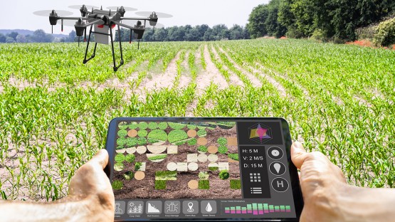 Grow-NY startups pioneer food and ag innovations | Cornell Chronicle