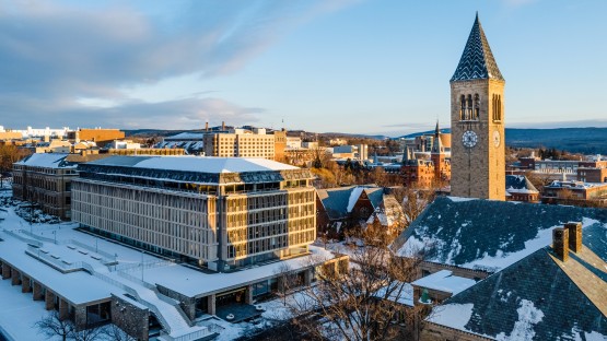 Library-lending partnership gets a reboot | Cornell Chronicle