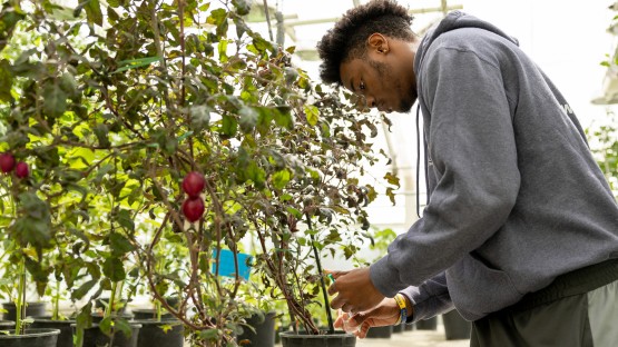 CROPPS welcomes 2024 REU class | Cornell Chronicle