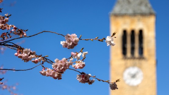 Outstanding A&S teachers, advisers honored with 2024 awards | Cornell ...