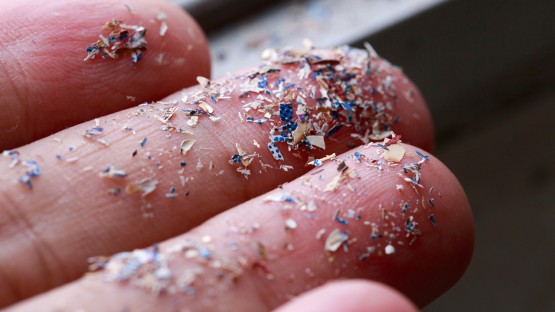 Study maps human uptake of microplastics across 109 countries | Cornell ...
