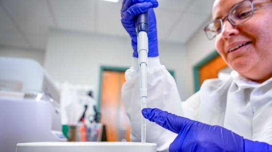 Study proves transfer of feline coronavirus between domestic and wild ...