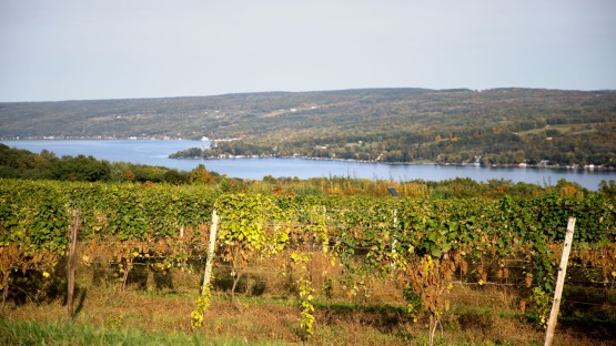 Climate change brings challenges, and opportunities, to Finger Lakes ...