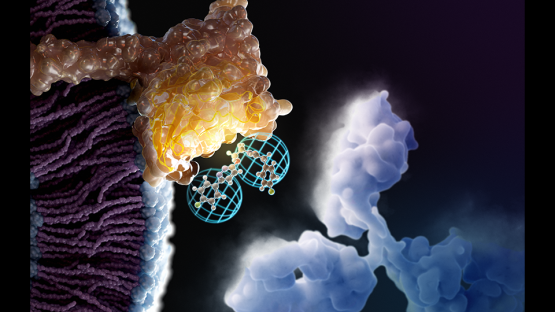 Virtual screening IDs potential small molecule drugs for cancer ...