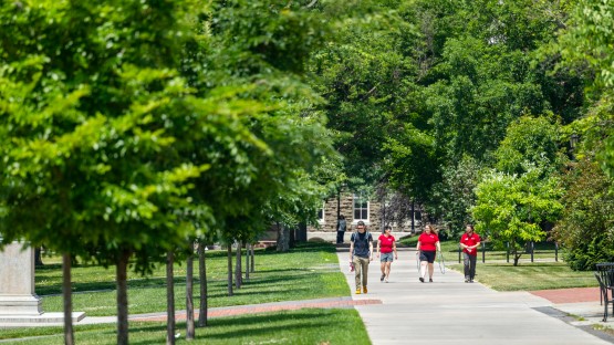 Home | Cornell Chronicle