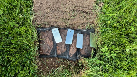 Limiting lawn management benefits soil ecosystems | Cornell Chronicle