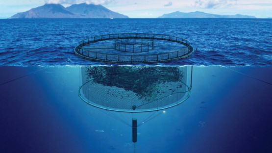 Researchers find ‘sweet spot’ for wave-powered fish farms | Cornell ...