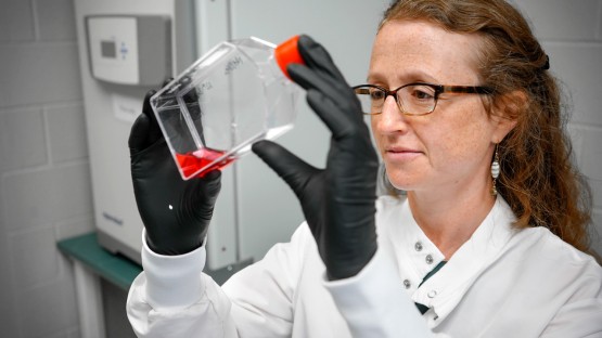 Virologist builds on Baker Institute’s 75-year groundbreaking history ...