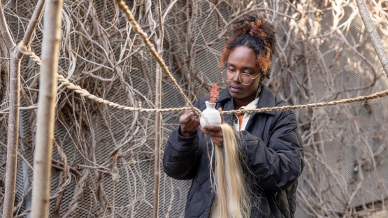 Home | Cornell Chronicle