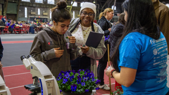 How do plants communicate? Students learn the science behind smart ...