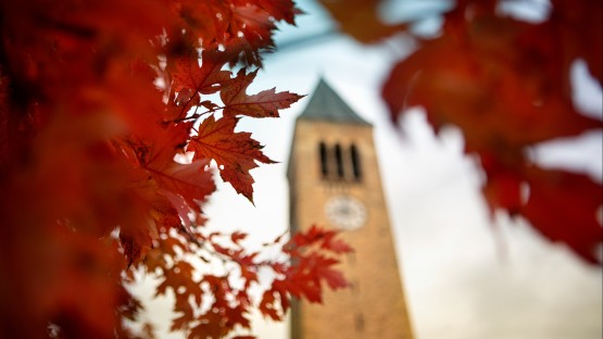 Fuchs, Hartman elected to American Physical Society | Cornell Chronicle