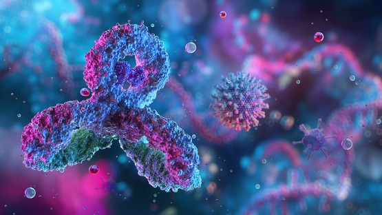 Nanoparticles sneak antibodies into cells to inhibit cancer ...