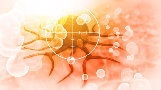 Molecular switch could cause painful side effect of chemo | Cornell ...
