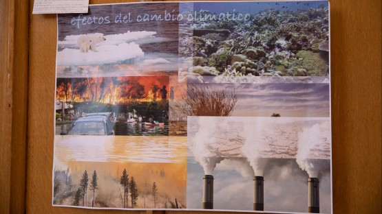 Course art exhibition teaches expression about social justice | Cornell ...