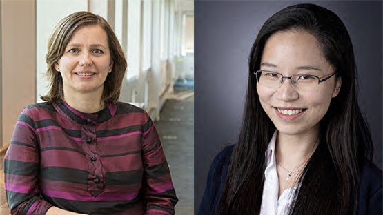 Cross-cutting initiative to promote AI and digital literacy | Cornell Chronicle