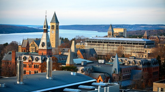 Center for Social Sciences announces 2021-22 faculty fellows | Cornell ...