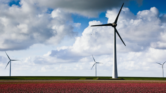 3 ways sustainable businesses can prepare for climate challenges ...