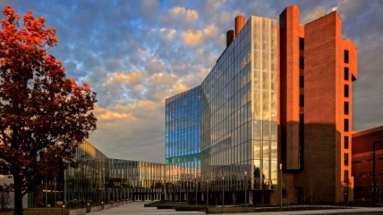 Enhancing Mental Health Support: Cornell's College of Veterinary ...