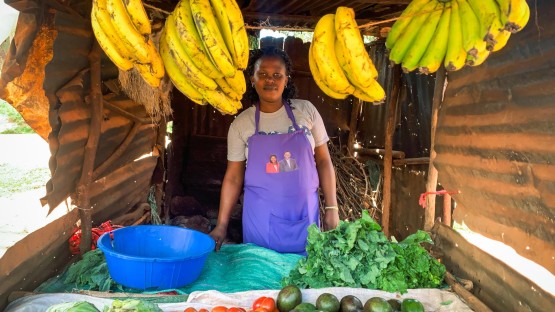 Surveillance systems critical to food security in lower-income ...