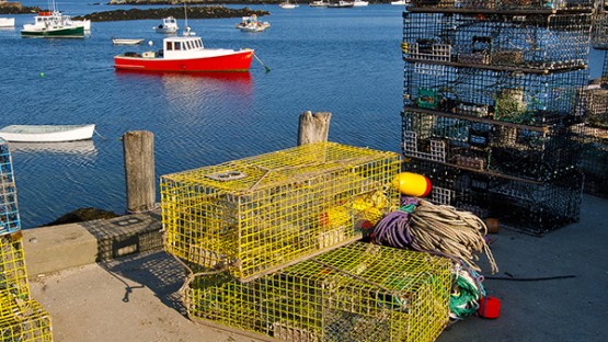 Maine lobster traps tell cultural story | Cornell Chronicle