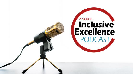 The Inclusive Excellence Podcast: What if success was measured by ...