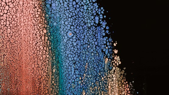 Conference explores the theme of “Repair” from multiple humanities ...