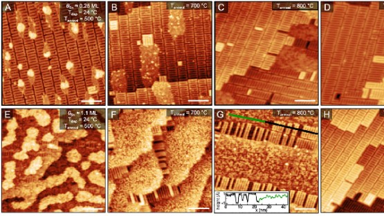 Researchers capture first atomic-scale images depicting early stages of ...