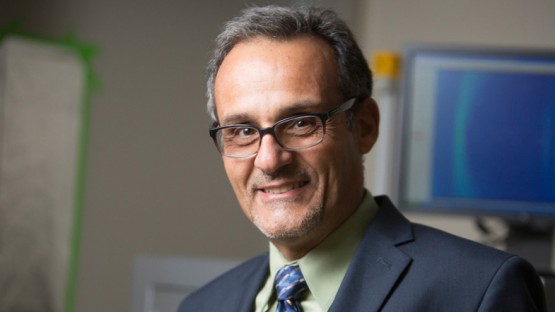 Emmanuel Giannelis named vice provost for research | Cornell Chronicle
