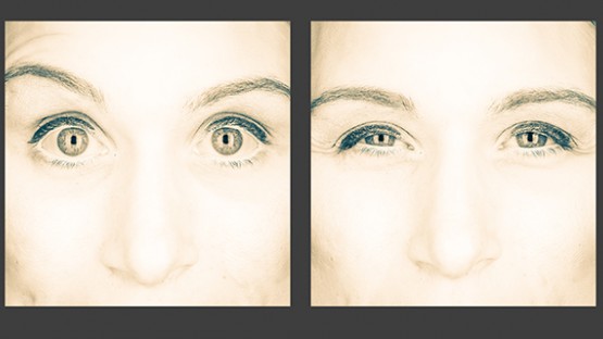 Eye expressions offer a glimpse into the evolution of emotion | Cornell ...