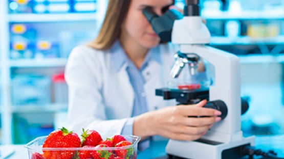 Camp Campbell inspires Cornell women food scientists | Cornell Chronicle