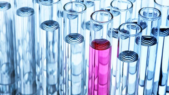 Human tissue model developed to test colon cancer drugs | Cornell Chronicle