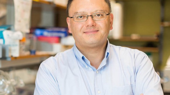 Takao Hensch wins Mortimer D. Sackler, MD Prize | Cornell Chronicle