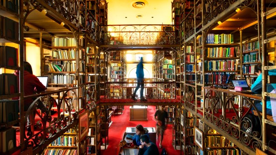 Grants support summer language study | Cornell Chronicle