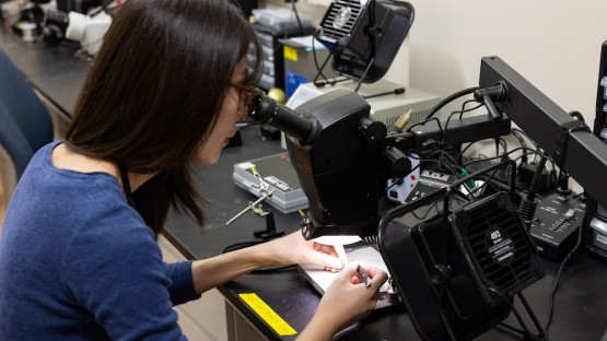 Klarman Fellow: AI has a lot to learn from “flexible and reliable ...